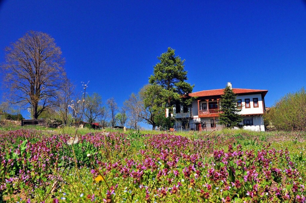 Turistik yerler Eligüzel Çiftliği, Kastamonu, foto