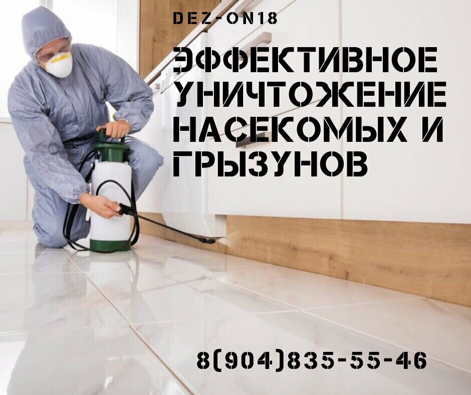 Haşere ilaçlama firmaları Dez-on, Izhevsk, foto