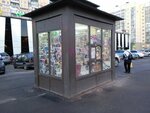Tochka prodazhi pressy (Kosygina Avenue No:30к1), gazete bayi  Saint‑Petersburg'dan