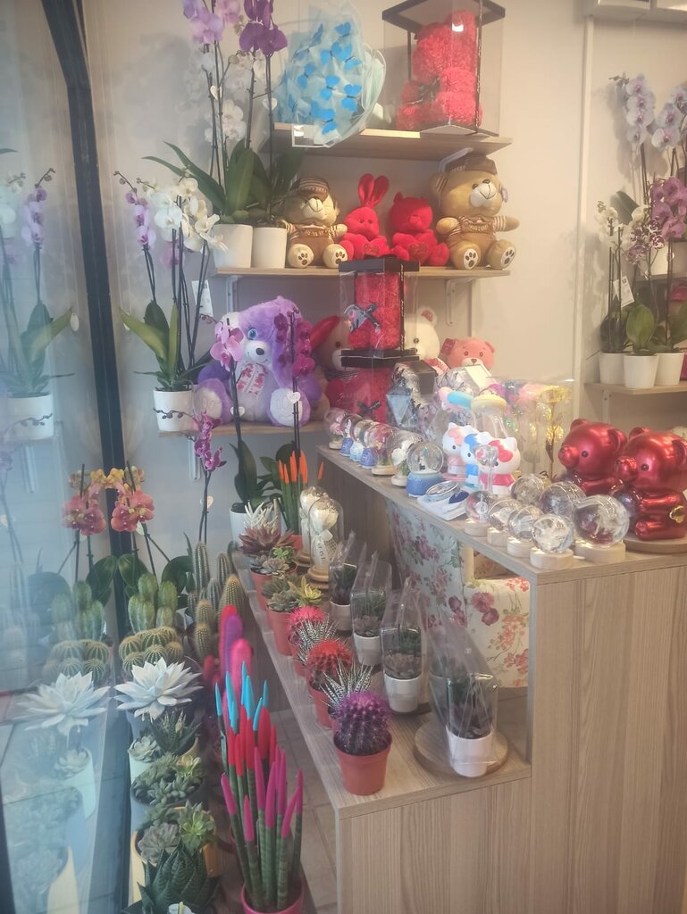 Çiçekçiler Alin çiçekçilik, İstanbul, foto