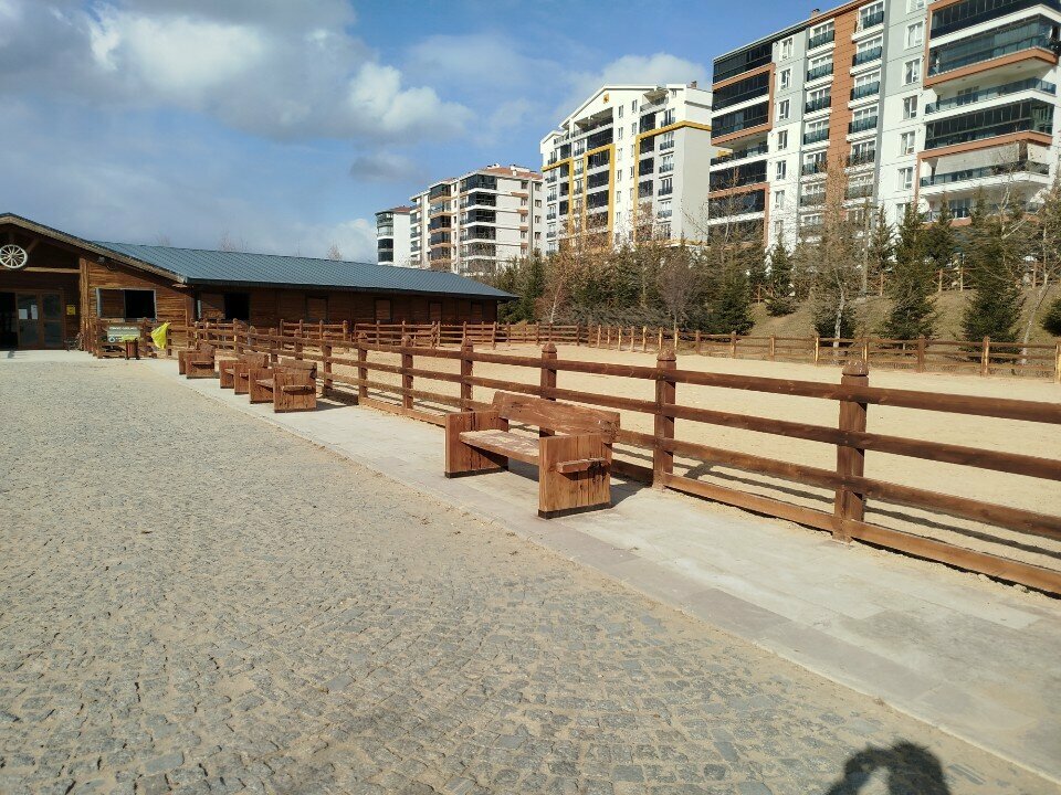 At ve binicilik kulüpleri Döngeller At Çiftliği, Ankara, foto