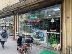 Okyanus Akvaryum (Eyüpoğlu Mahallesi, Eblehan Cad. 12/B, 27010 Şahinbey/Gaziantep), petshop  Gaziantep'ten