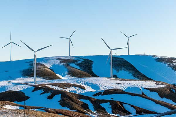 Enerji kurumları Eco solar brothers, Taşkent, foto