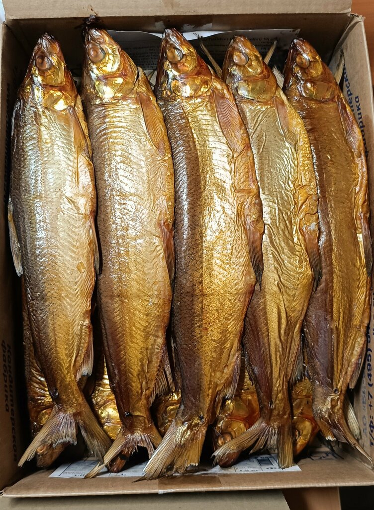 Balık ve deniz ürünleri Норд Фиш, Moskova ve Moskovskaya oblastı, foto