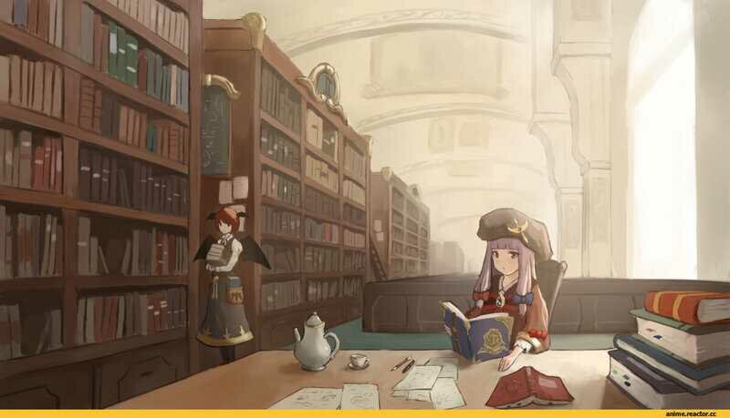 Kütüphaneler Biblioteka Verkhnetoyemskaya Bibliotechnaya Sistema, Arhangelskaya oblastı, foto