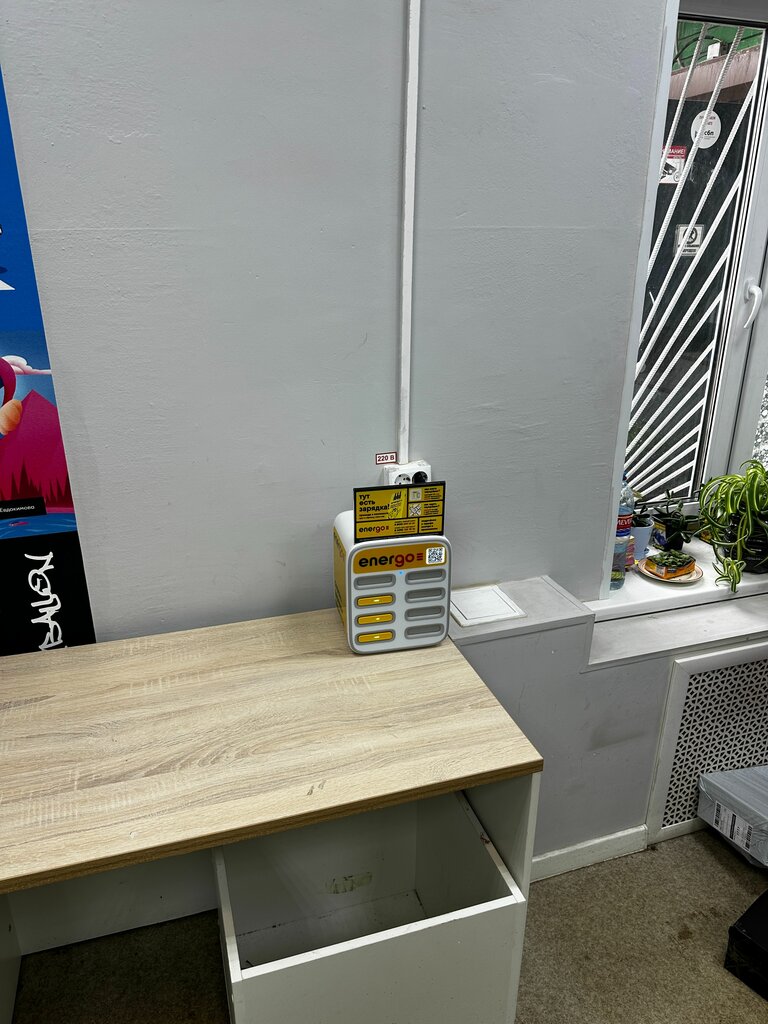 Şarj cihazı kiralama Energo, Moskova, foto