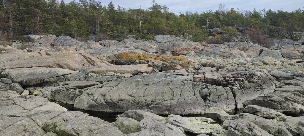 Anıt, heykel Камень с надписями, Saint‑Petersburg ve Leningradskaya oblastı, foto