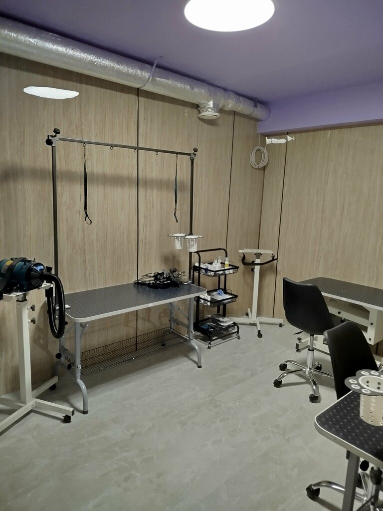 Evcil hayvan kuaförleri Grooming Salon Lexi, Dolgoprudny, foto