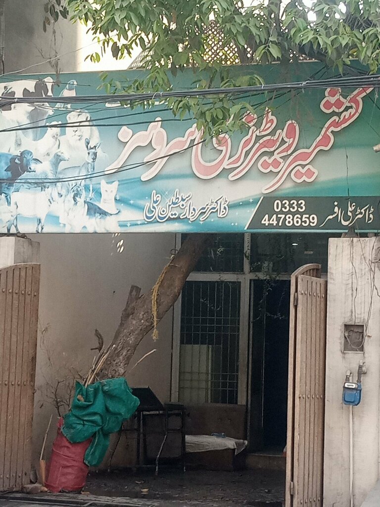 Tıp merkezleri ve klinikler Kashmir Shifakhana Haiwanat, Lahor, foto