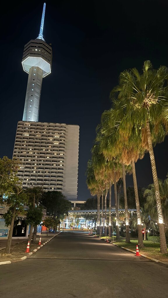 Otel Pinnacle Lumpinee Park Hotel, Bangkok, foto