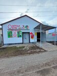 Одежда, обувь и 1000 мелочей (ulitsa Lenina No:31А, selo Nizhnyaya Veduga), giyim mağazası  Voronejskaya oblastından