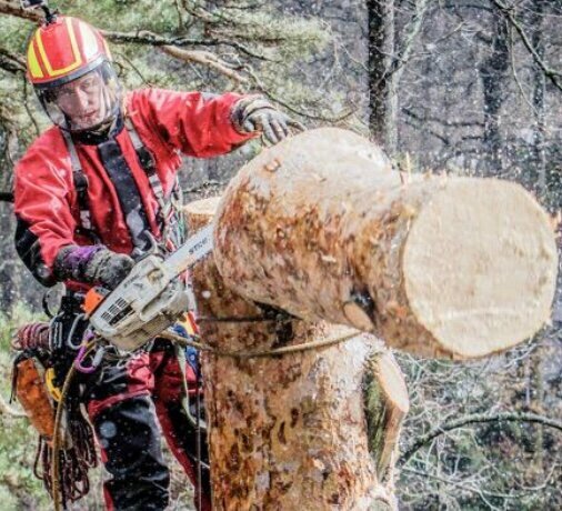 Şehir planlama Спил деревьев, Rostov‑na‑Donu, foto
