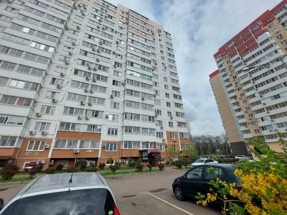 Yabancı dil kursları Step by step, Krasnodar, foto