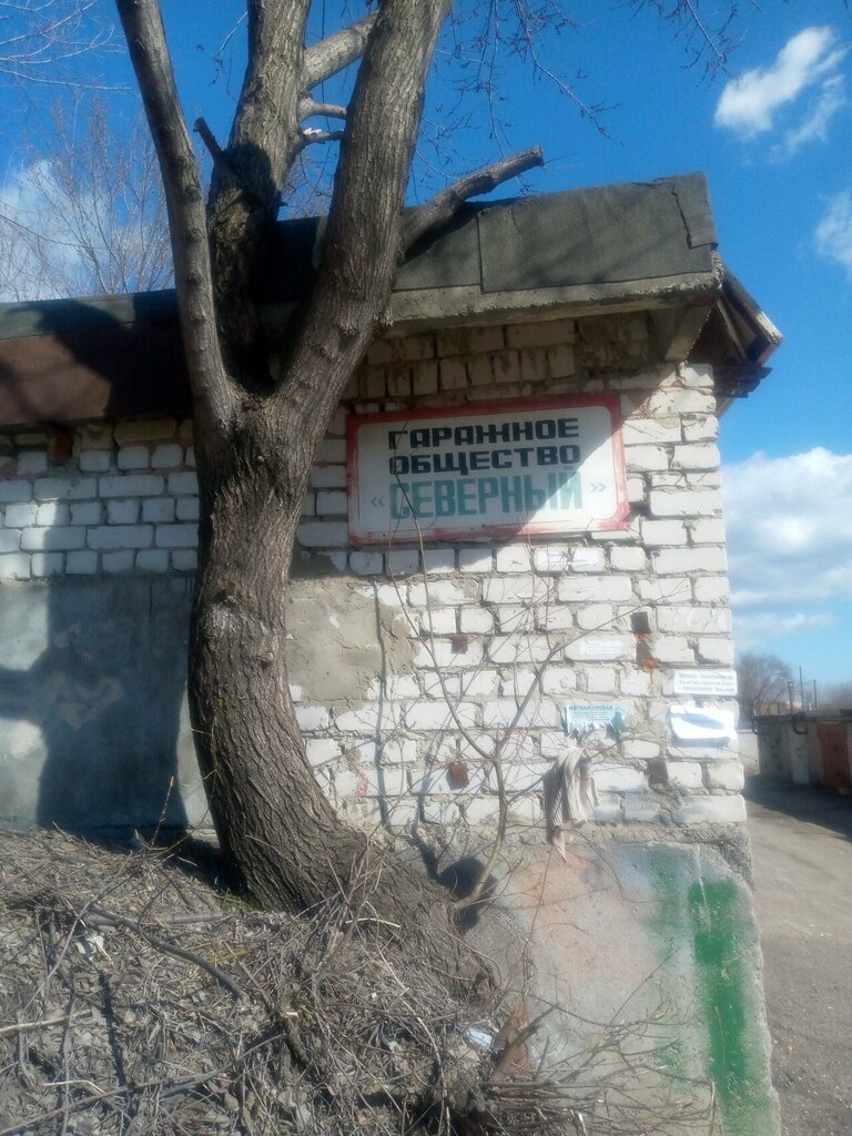 Garajlar Гаражный массив Северный, Zelenodolsk (Yeşel Üzen), foto