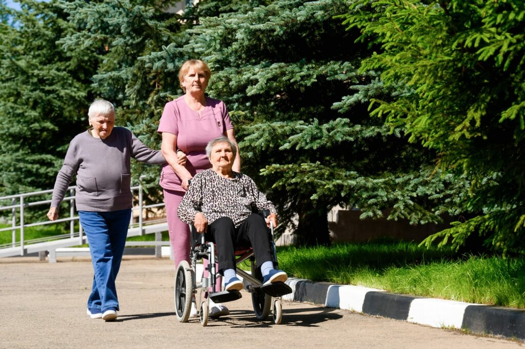 Huzurevi, bakımevi Pansion for Elder People, Moskova, foto