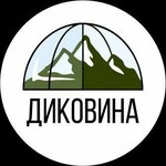 Dikovina-Беседки (Panoramnaya ulitsa No:15, DNT Gorizont), resort oteller, tesisler  Krasnoyarski krayından