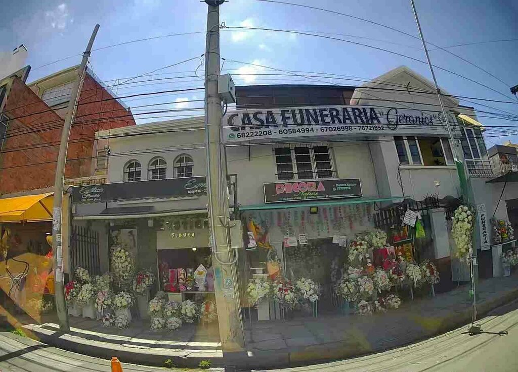 Bahçecilik mağazaları Decora Nature, La Paz, foto