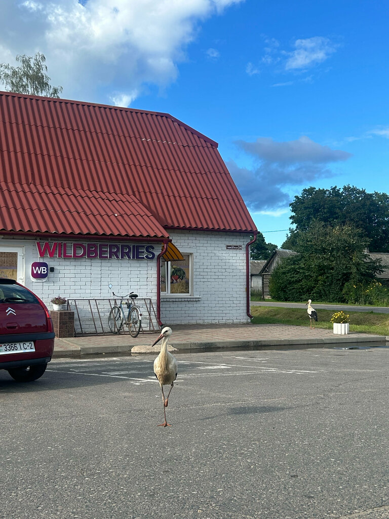 Teslimat noktası Wildberries, Vitebskaya oblastı, foto