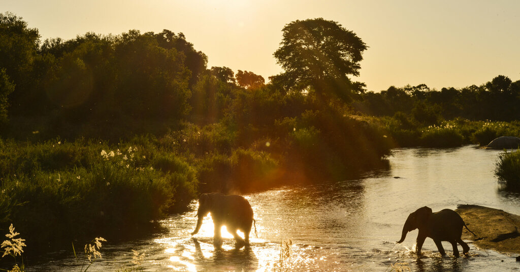 Otel Lion Sands River Lodge, Dünya, foto