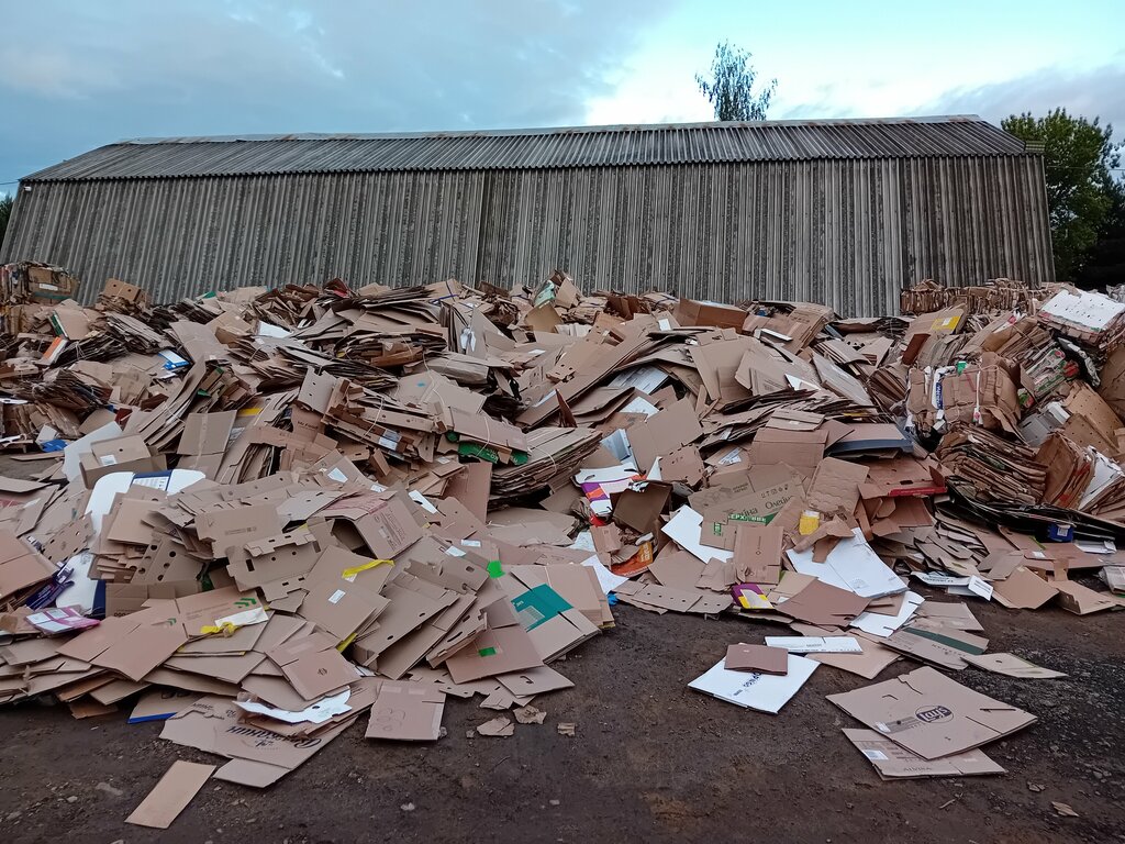 Atık kağıtların alınması Сфера, Balaşiha, foto