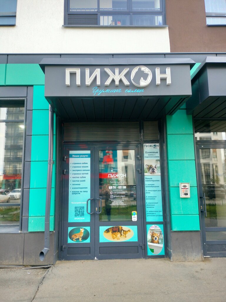 Evcil hayvan kuaförleri Пижон, Yekaterinburg, foto