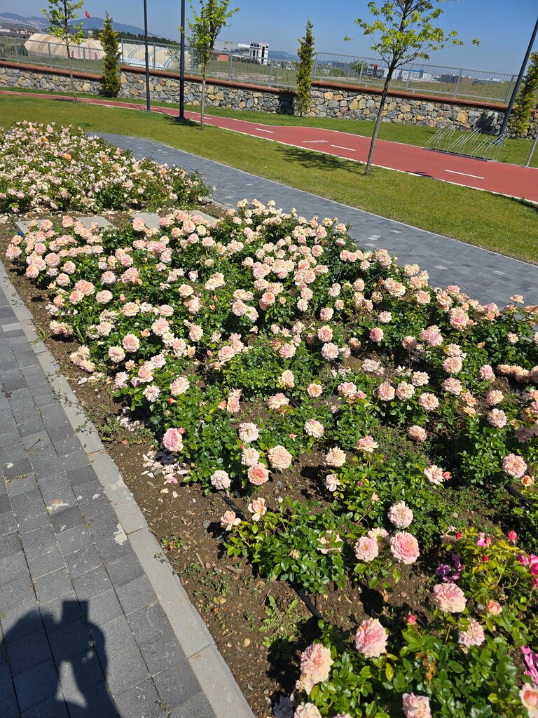 Kültür ve eğlence parkları Çayırova Millet Bahçesi, Çayırova, foto