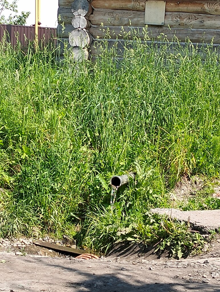 Pınar, çay Spring, stream, Penza, foto