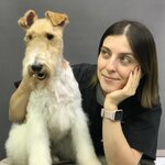 Надя и собаки (Gagarina Avenue No:74, Nizhniy Novgorod), evcil hayvan kuaförleri  Nijni Novgorod'dan