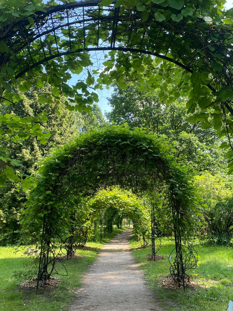 Kültür ve eğlence parkları Japonski sad, Minsk, foto