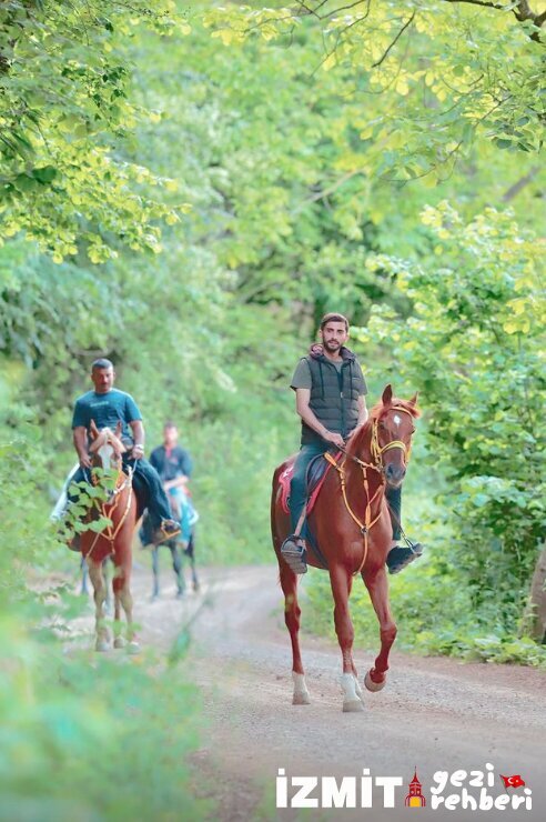 Web tasarım hizmetleri Webbtasarim.com Web Tasarım Hizmetleri, İstanbul, foto
