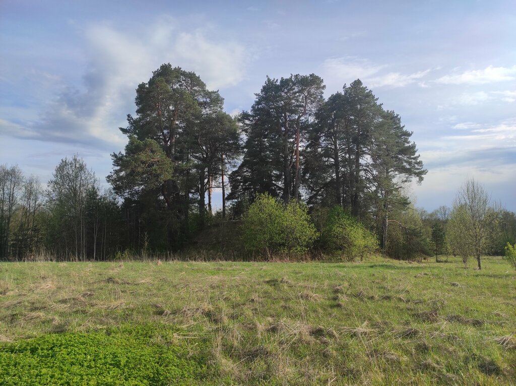 Turistik yerler Сопка-курган, Novgorodskaya oblastı, foto