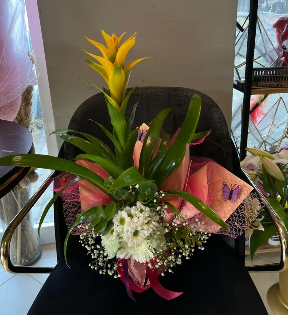 Çiçekçiler Sosyetik Çiçek, Çorlu, foto