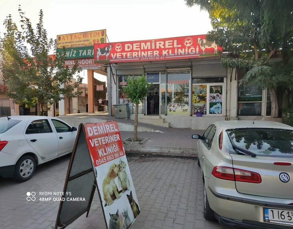 Veteriner klinikleri Demirel Veteriner, Şanlıurfa, foto