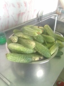 Фастфуд (ulitsa Maksima Gorkogo No:36, selo Bagan), fast food  Novosibirskaya oblastından