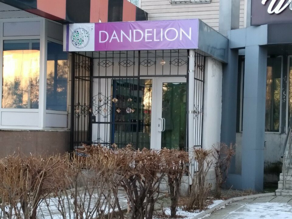 Besin takviyesi, aktariye Dandelion, Taldıkorgan, foto