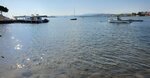 Akarca Balıkçı Barınağı (İzmir, Seferihisar, Hıdırlık Mah., Tuzla Cad., 73/2), balık ve deniz ürünleri  Dünya'dan