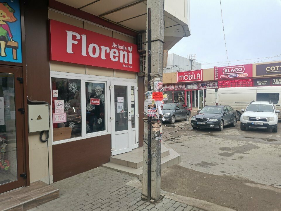 Kasap, şarküteri Avicola Floreni, Beltsi, foto