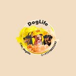 DogLife (23-shi kóshe No:51, Turksib City Administrative District, mikrorayon Kayrat), hayvanat bahçesi merkezi  Almatı'dan