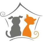 Дружок (Soyuznaya Street No:141), petshop  Izhevsk'ten