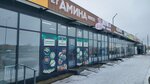 Amina (No:170, Jańaqonys turǵyn alaby), kasap, şarküteri  Aktöbe'den