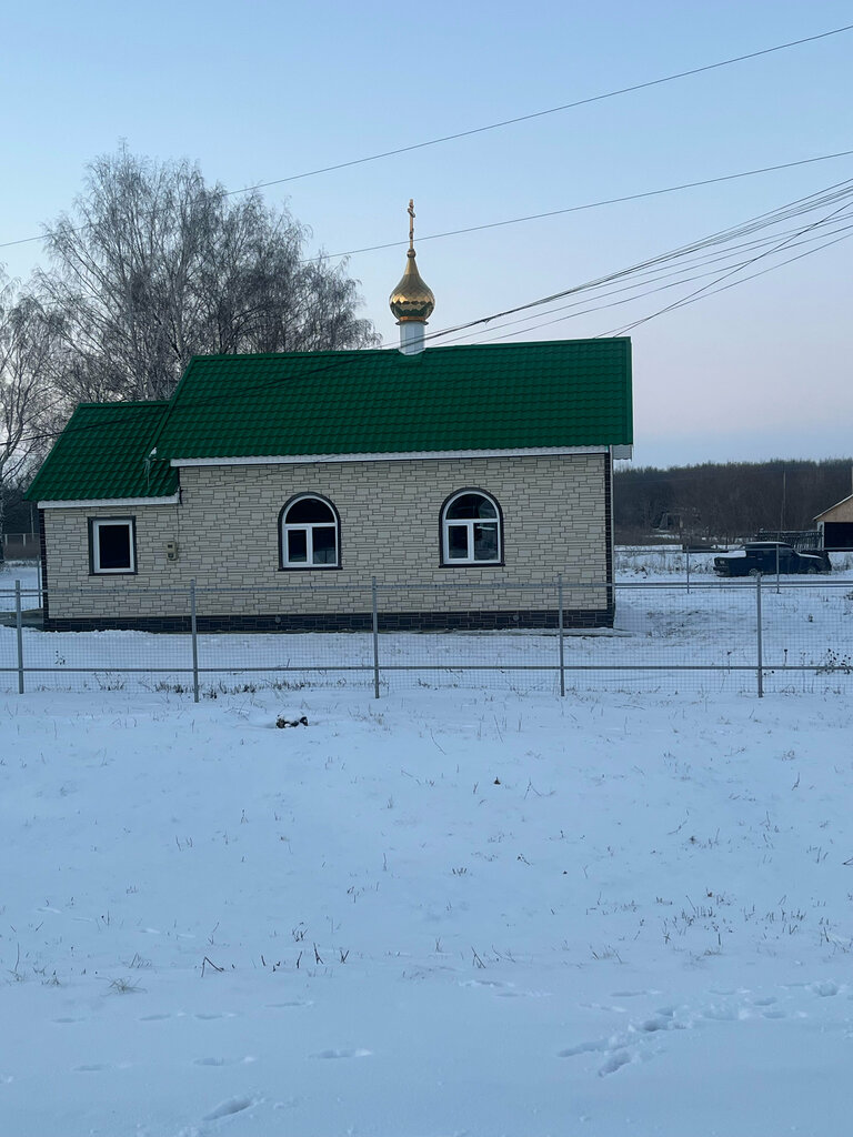 Ortodoks kiliseleri Церковь Матроны Московской, Riazanskaya oblastı, foto