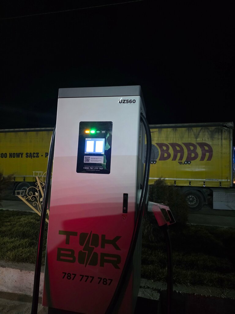 Elektrikli oto şarj istasyonları Tok Bor, , foto