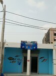 Jourdain Fish Market (Rue M57 No:404, Cocody), balık ve deniz ürünleri  Abican'dan