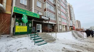 Studiya krasoty Yeleny Li (Dmitriya Martynova Street No:24), güzellik salonu  Krasnoyarsk'tan