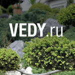 Vedi (No:3, Settlement of Lesparkhoz), fidan yetiştiriciliği  Moskova ve Moskovskaya oblastından
