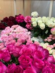 Amour Flowers (ulitsa Derzhavina No:9Б, selo Sokury), çiçekçiler  Tataristan'dan