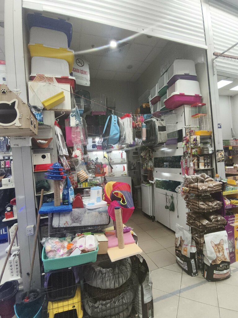 Petshop Talha Akvaryum Pet Shop, Ankara, foto