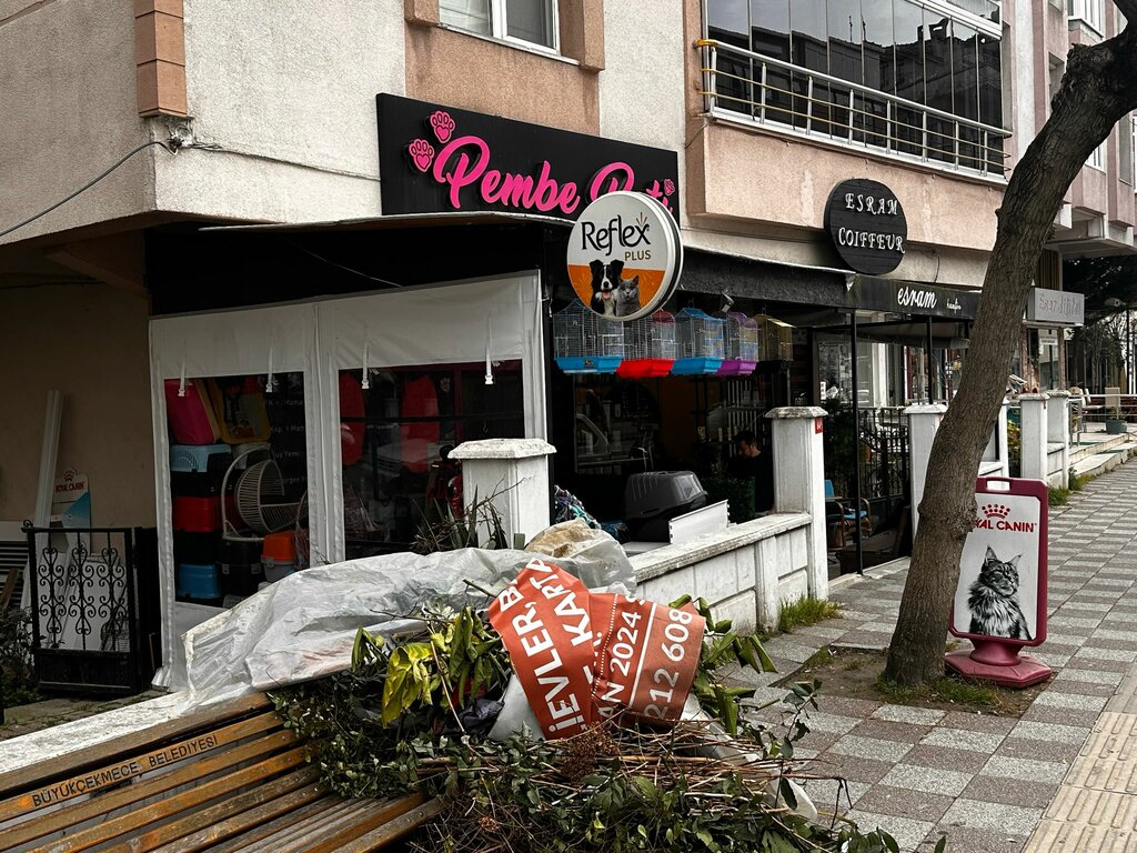 Petshop Pembe Pati Pet Shop, İstanbul, foto