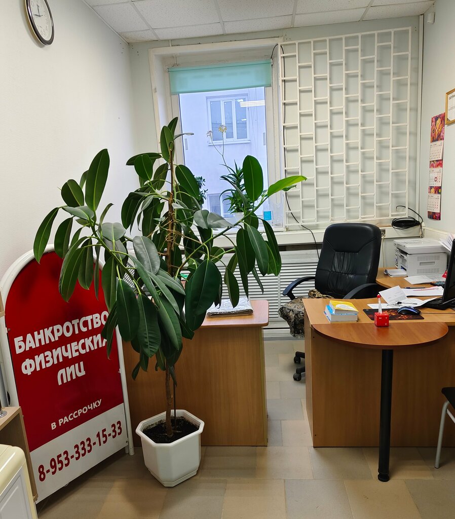Hukuk büroları Бюро списания долгов, Kondrovo, foto