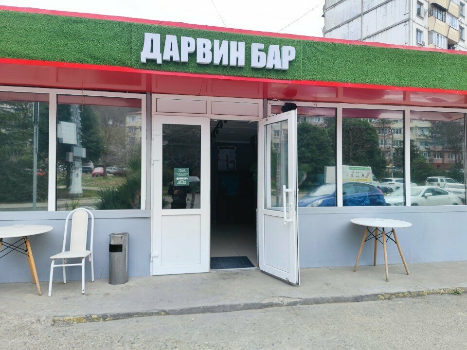 Bar Дарвин, Soçi, foto